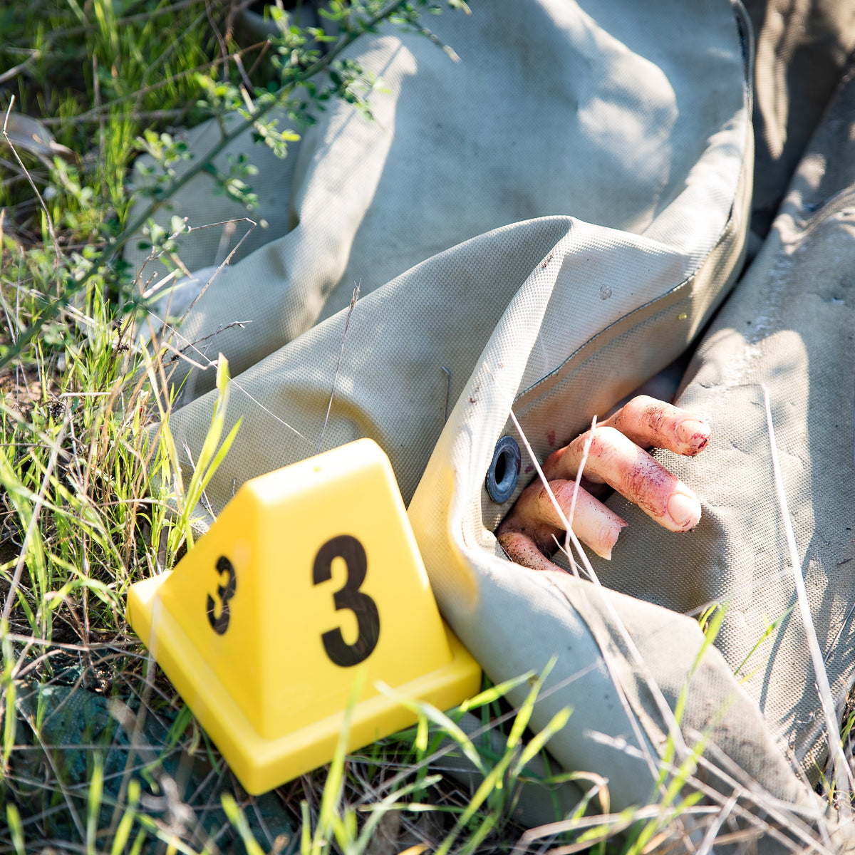 Hand – extremesimulations